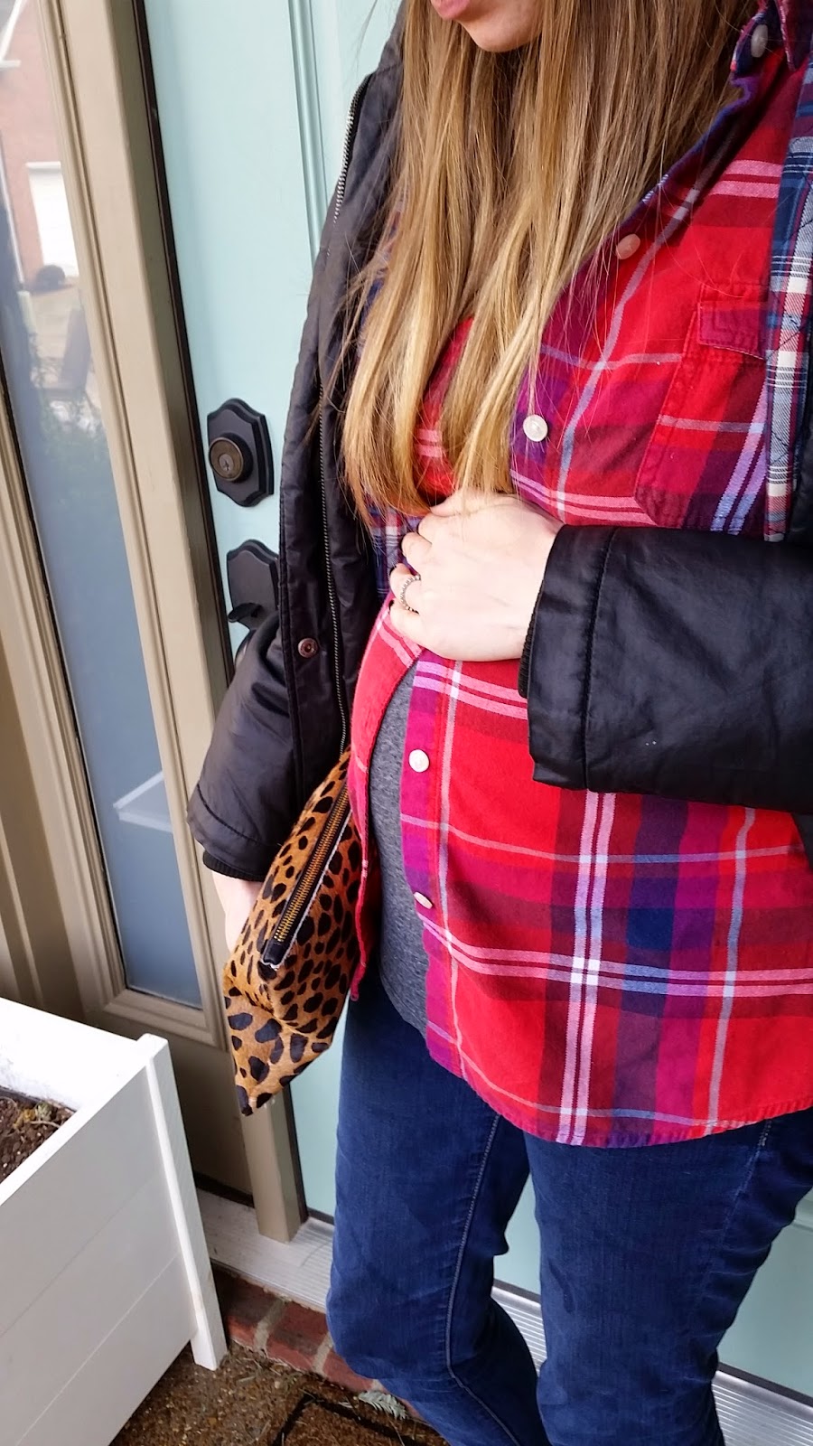 Pregnancy Update